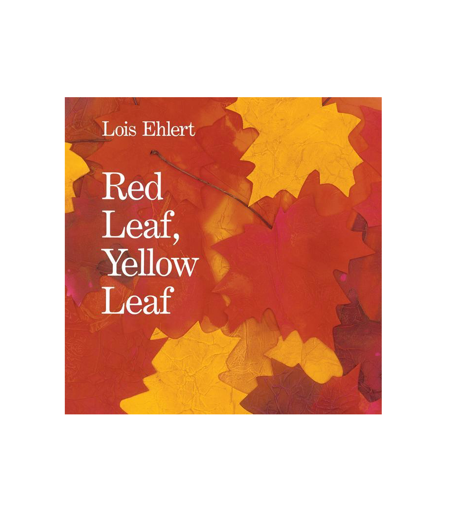 Red Leaf, Yellow Leaf – Museum of Mini
